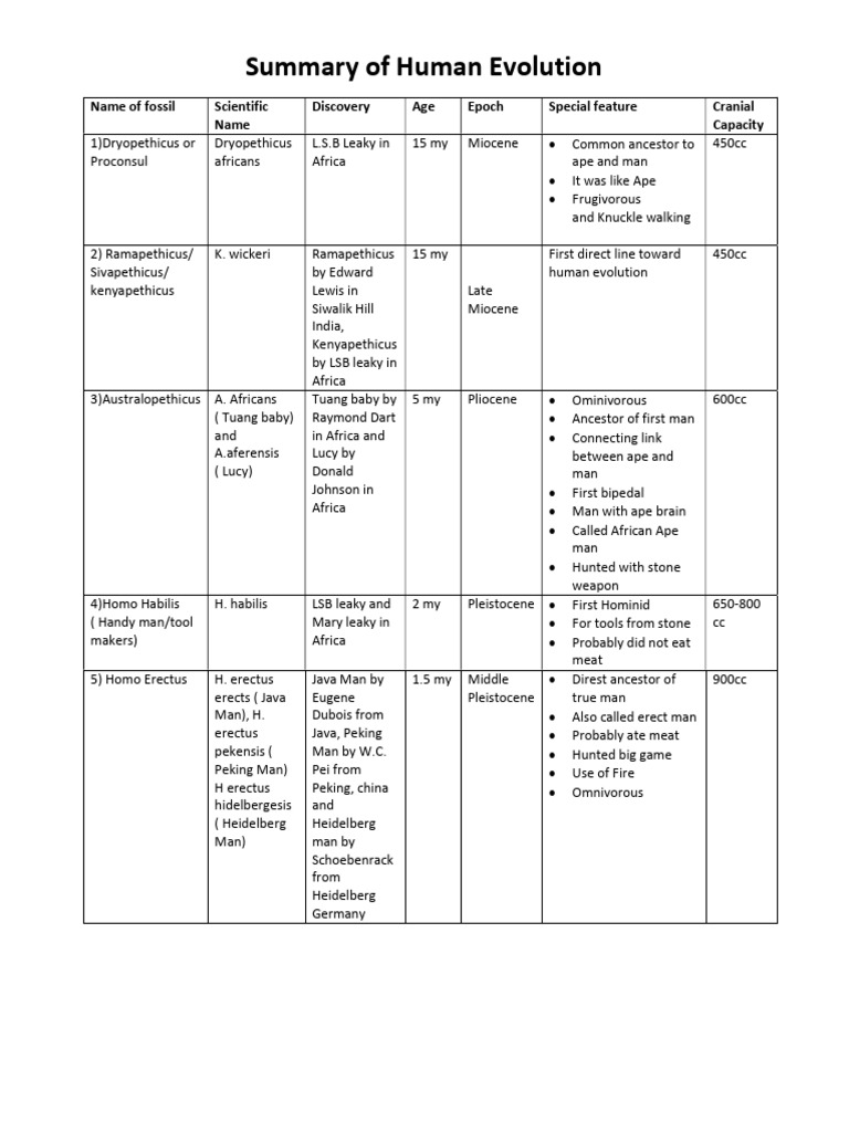 Summary of Human Evolution | PDF | Human Evolution | Homo