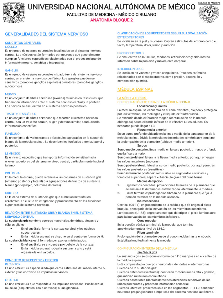 ANATOMÍA B2 - Compressed | PDF