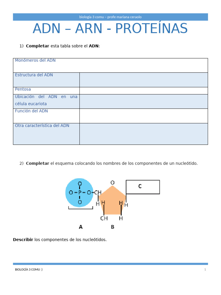 Proyecto 2 - Adn Arn Proteinas Biologia 3 Comu | PDF | Rna | Adn