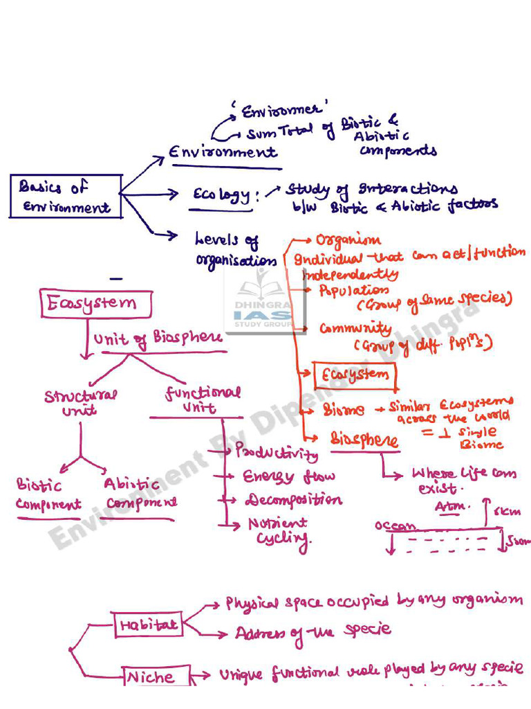 Environment Basics Flowchart 250425 210130 | PDF