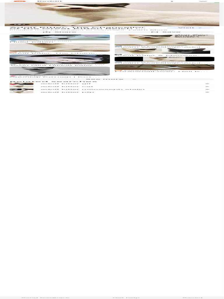 Adolf Kitler - Google Search | PDF