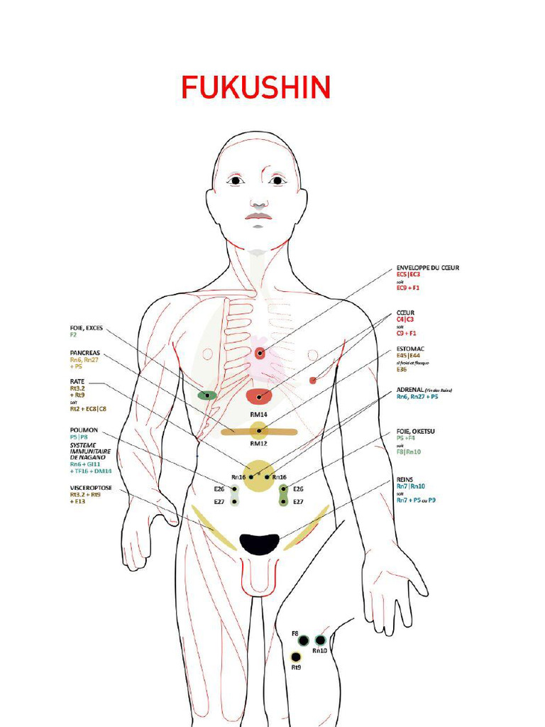 Fukushin Gros Plan | PDF