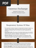 Structure and Function of The Gas Exchange System - Respiration and Gas ...