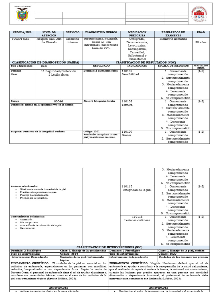 Plan de Cuidados de Enfermería para Ulceraciones | PDF | Herida ...