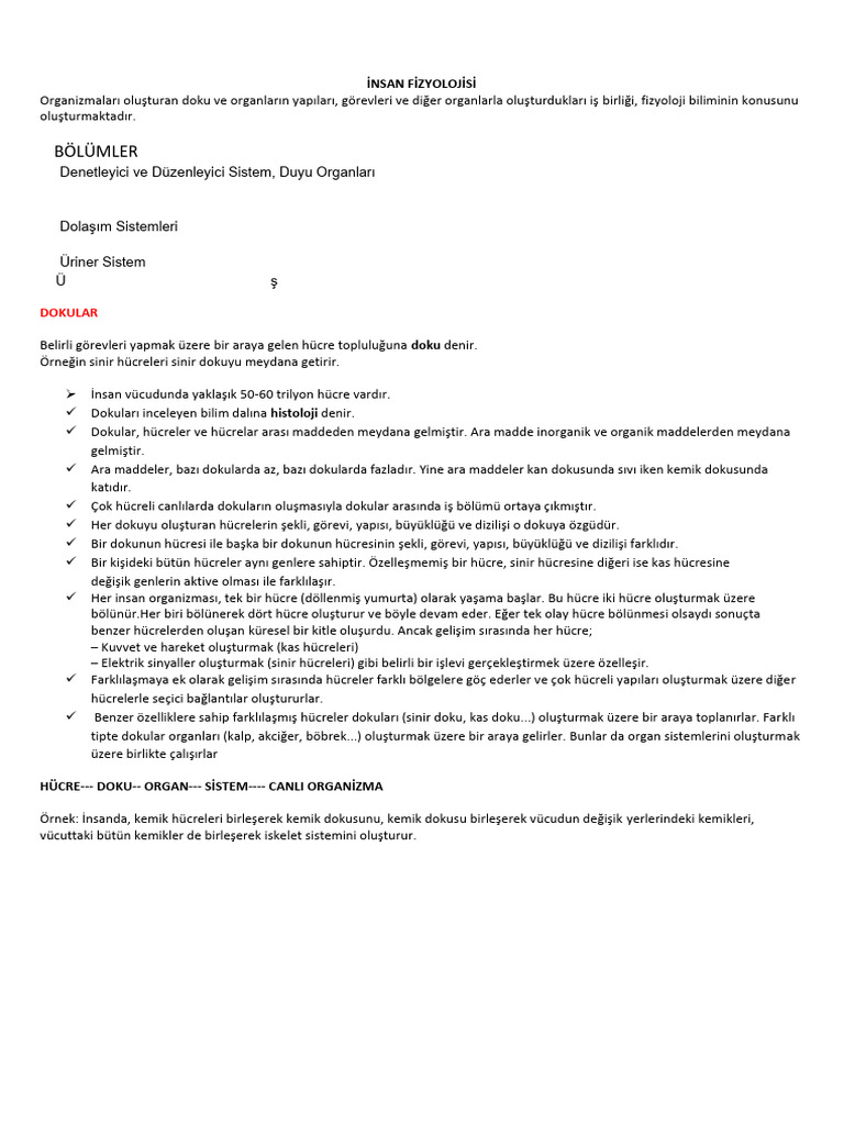 11 Sınıf 2024-2025 Ders Notu | PDF