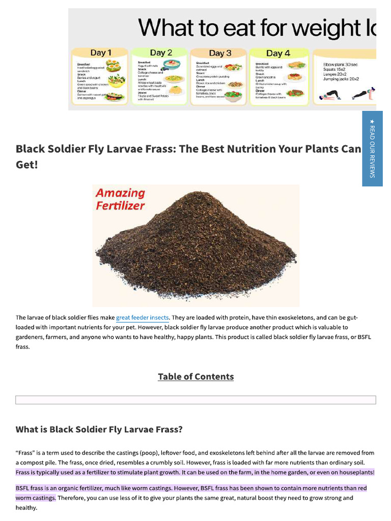 BSF Fertilizer | PDF