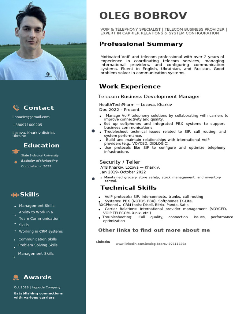 Professional CV Resume | PDF | Voice Over Ip | Session Initiation Protocol
