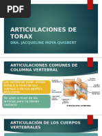 Articulaciones y Ligamentos de La Columna | PDF
