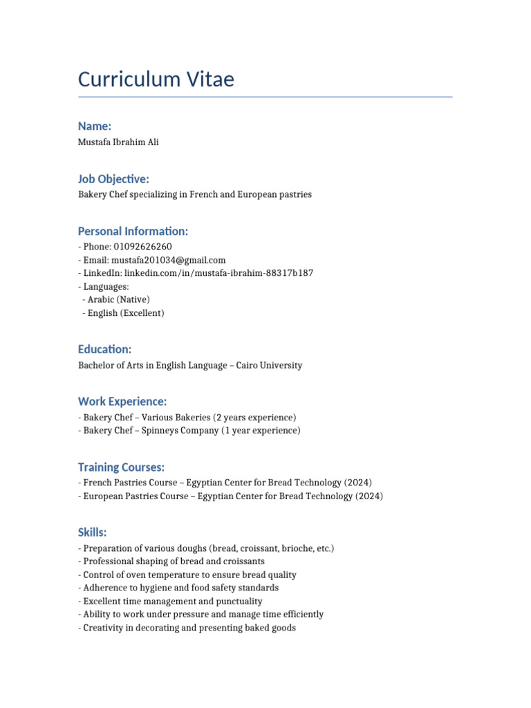 Mustafa Ibrahim Resume English | PDF