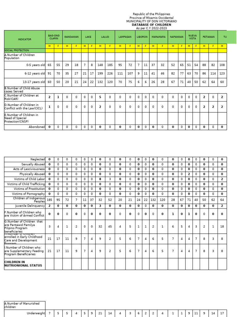 Don Victoriano Children's Database 2022-2023 | PDF | Intellectual ...