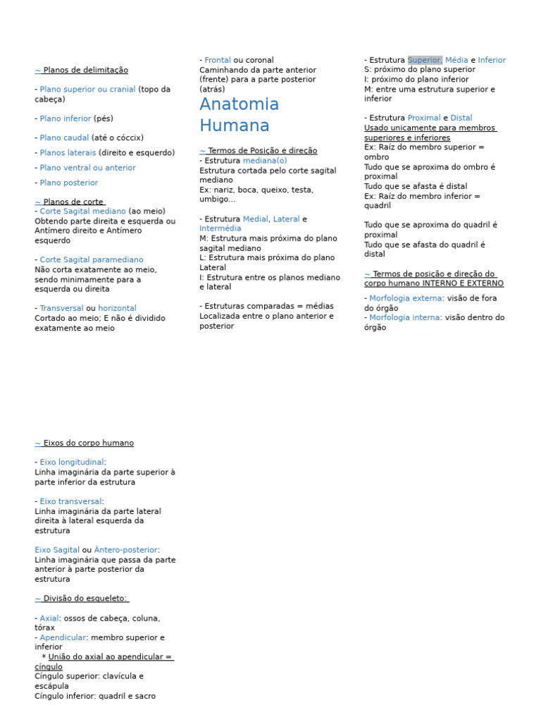 Anatomia Humana 1 | PDF | Anatomia humana | Anatomia