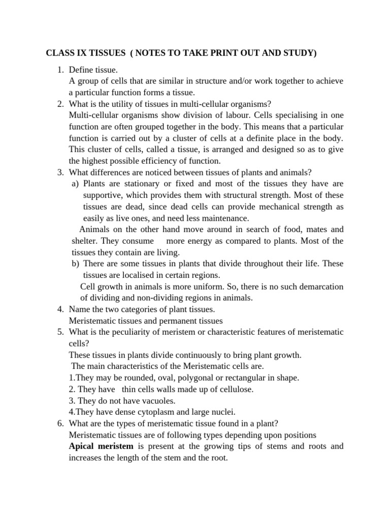 CSK W Class 9, PLANT TISSUES, Q & A | PDF | Tissue (Biology) | Plant Stem