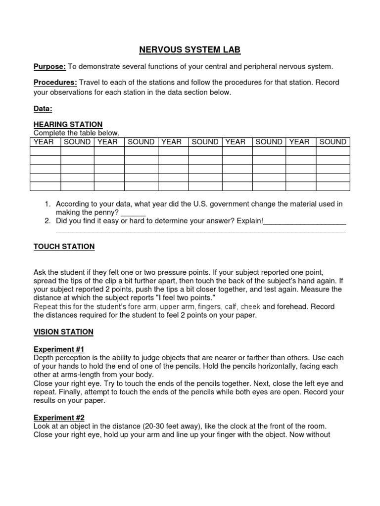 Nervous System Lab Worksheet | PDF | Eye | Odor