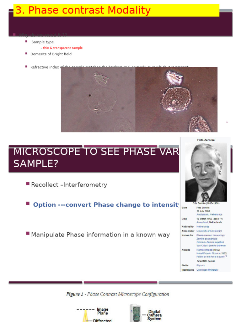 Phase Contrast Microscopy Explained | PDF