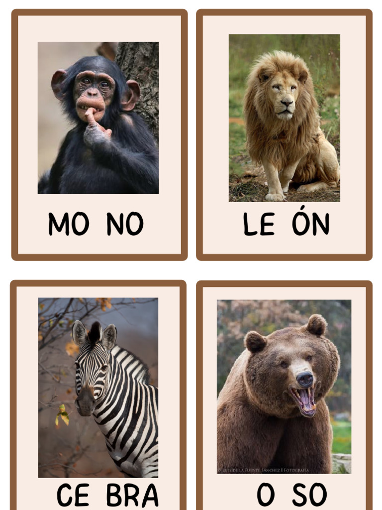 Sílabas Animales Tarjetas - MaryCast | PDF