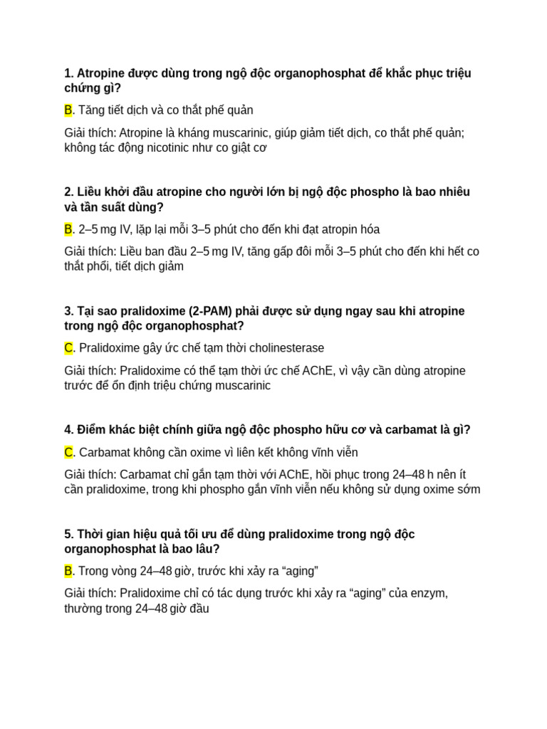 Đáp Án DCH Nhóm 15 | PDF