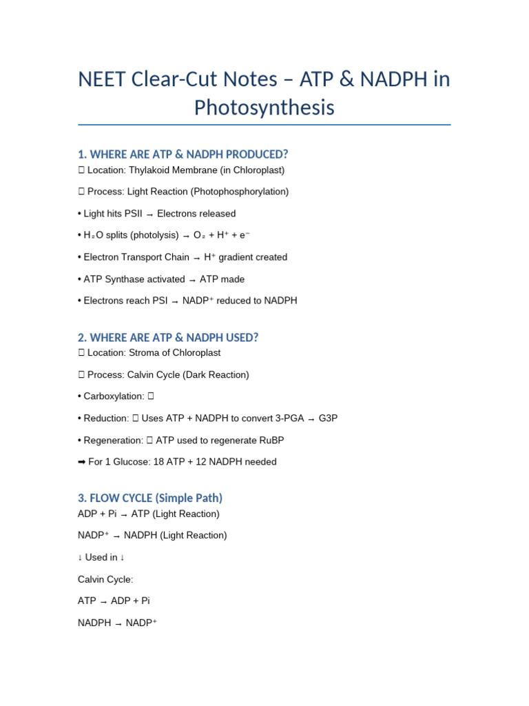 ATP & NADPH Roles in Photosynthesis | PDF