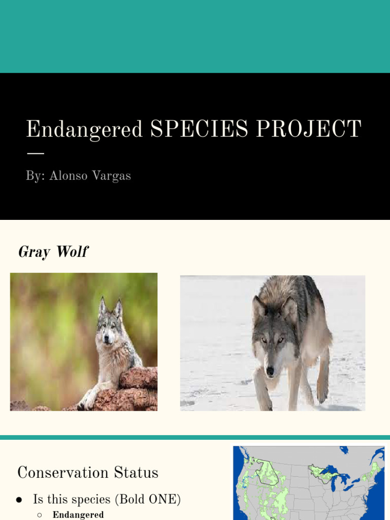 Alonso Vargas Endangered SPECIES PROJECT | PDF | Ecology | Biology