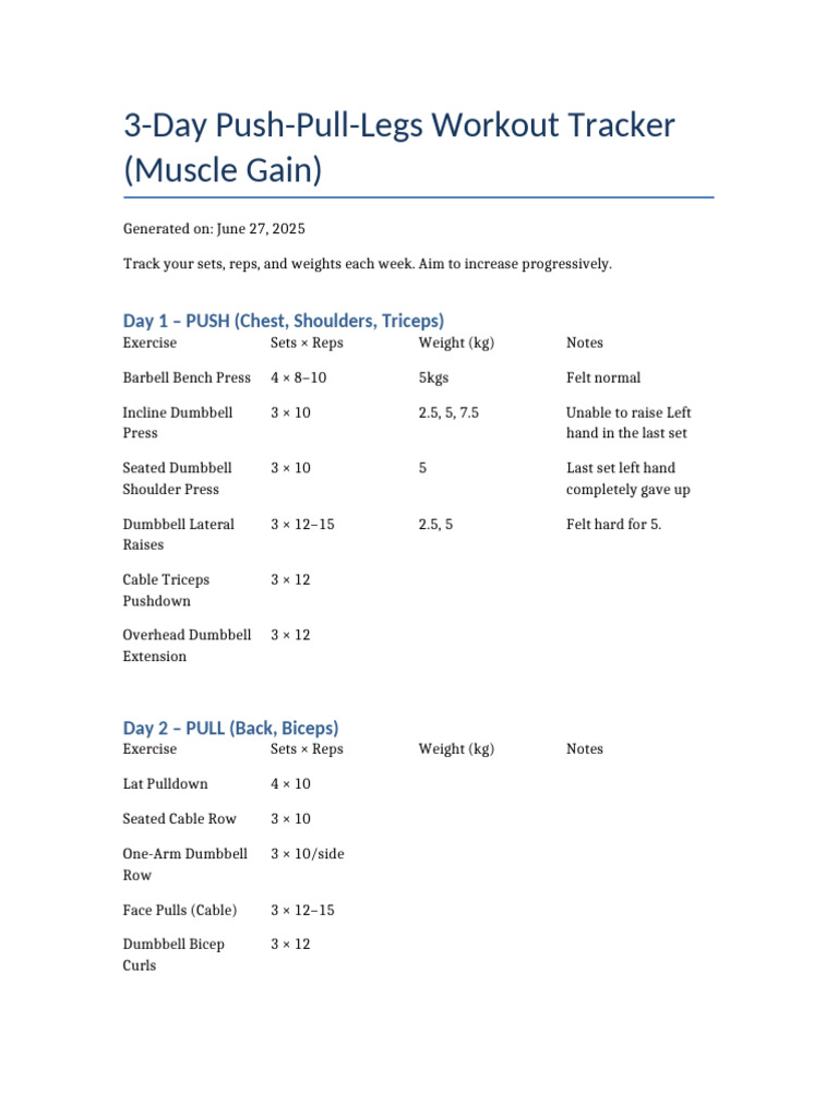 PPL Workout Tracker | PDF