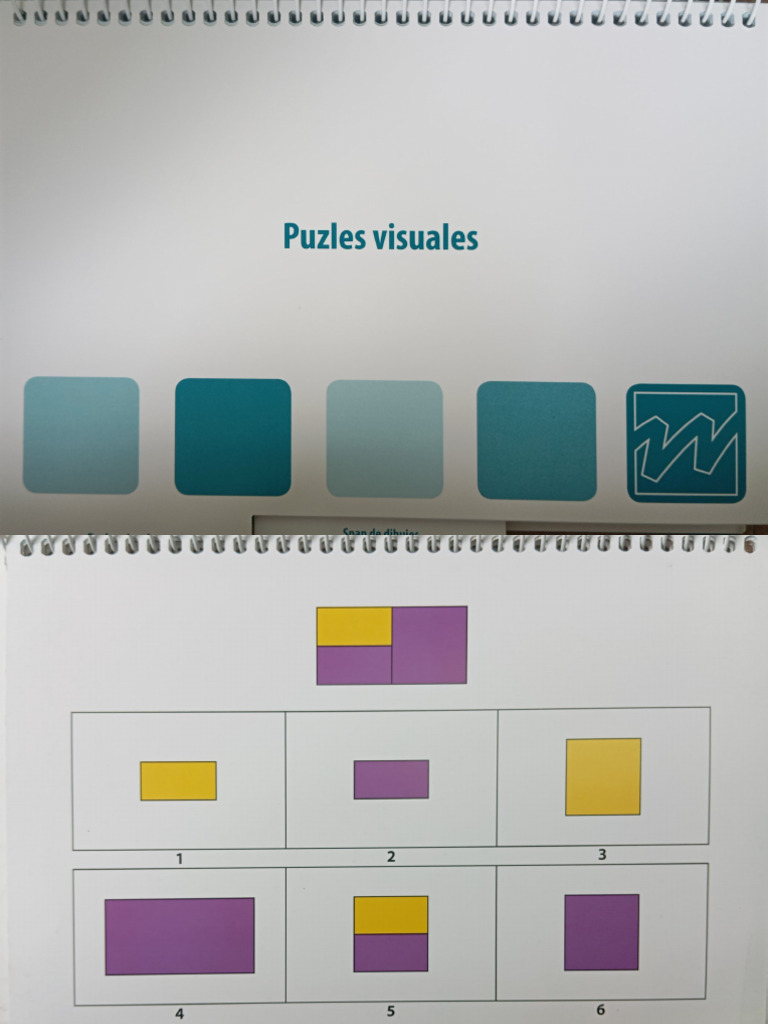 Puzzle Visuales | PDF