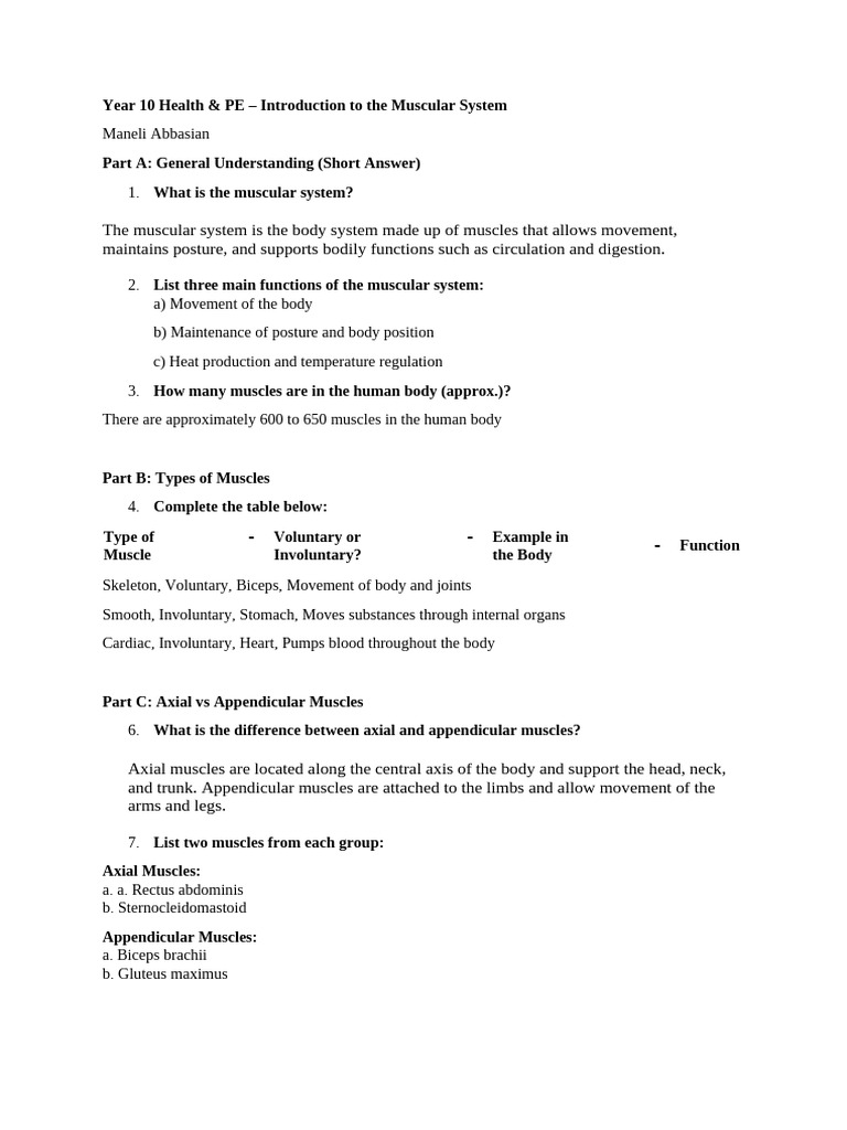 Introduction To The Muscular System | PDF