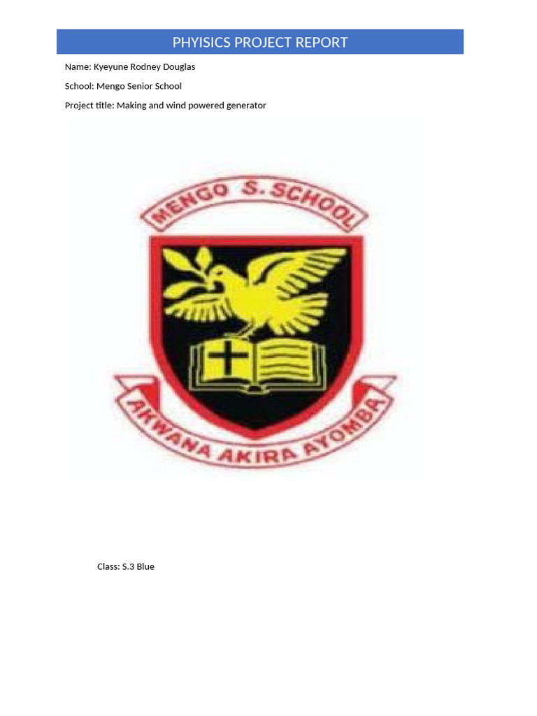 Physics Project Report | PDF