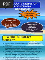 Sandy Beach Ecosystems Explained | PDF | Beach | Coast