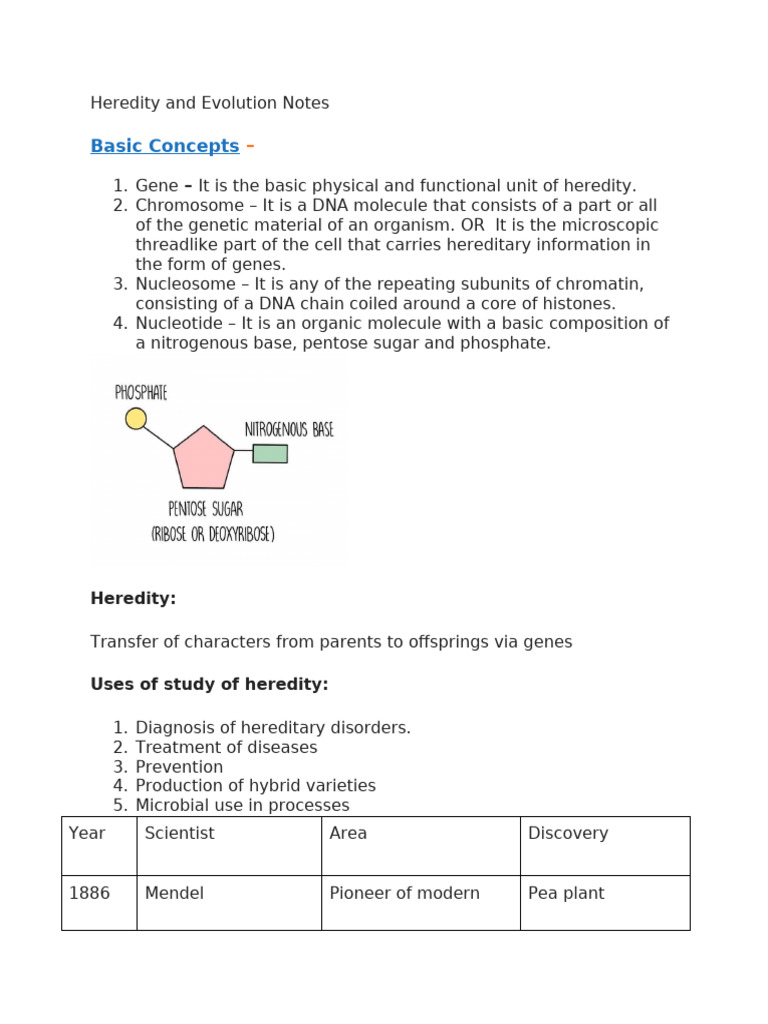 Heredity and Evolution Overview | PDF | Messenger Rna | Dna