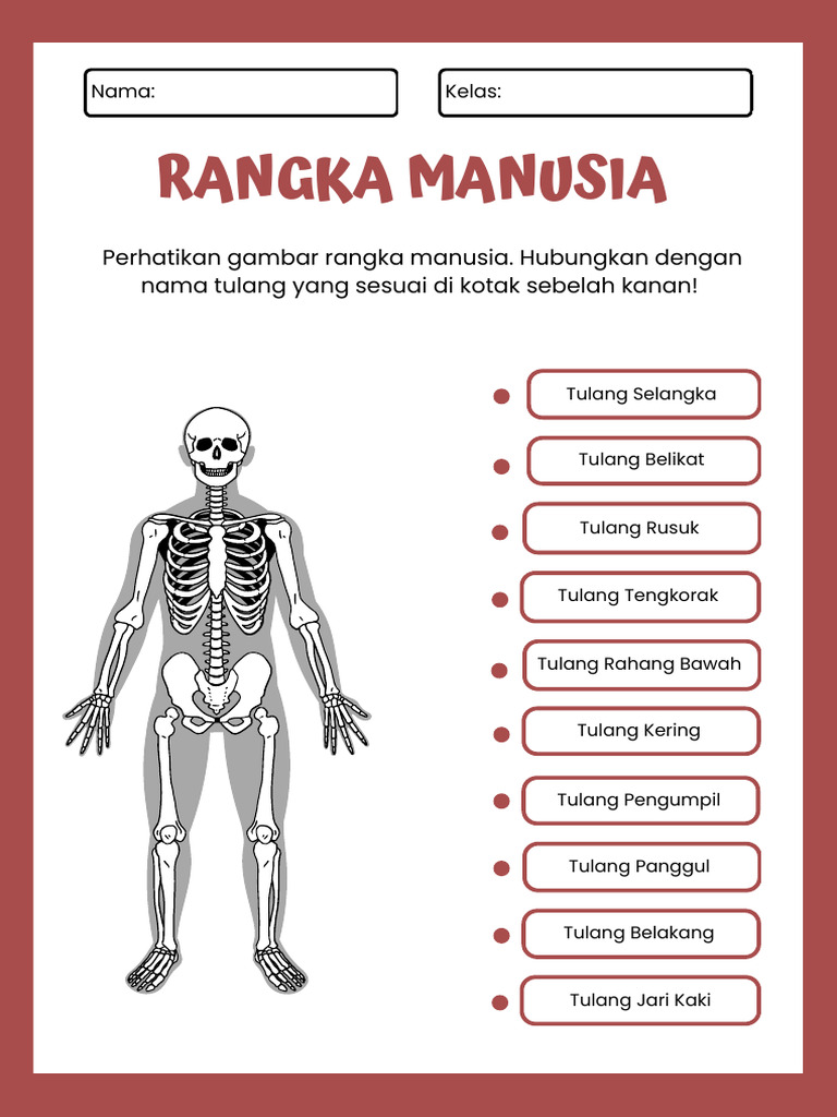 Rangka Manusia Lembar Kerja Siswa Hitam Putih Coklat Gaya Geometri | PDF