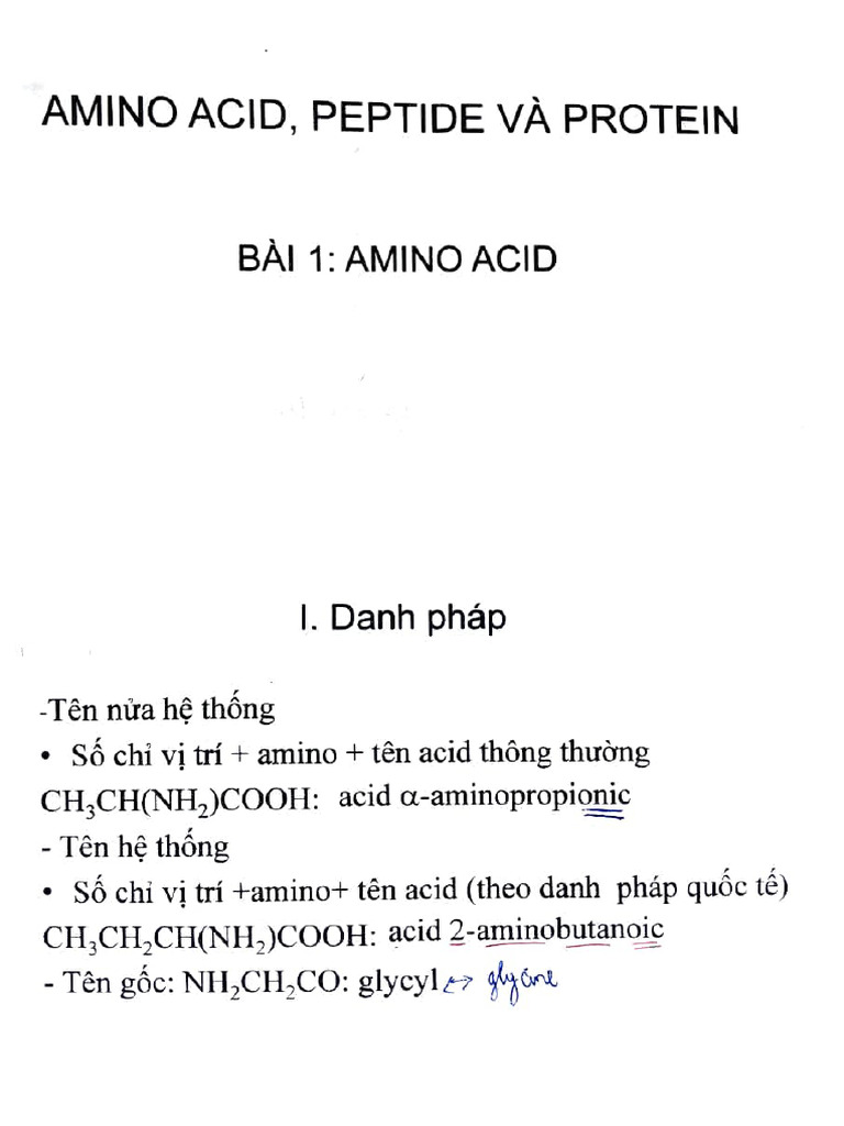 Amino Acid, Peptide, Protein | PDF