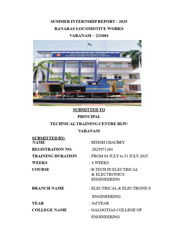BLW Training Report | PDF | Electric Motor | Printed Circuit Board