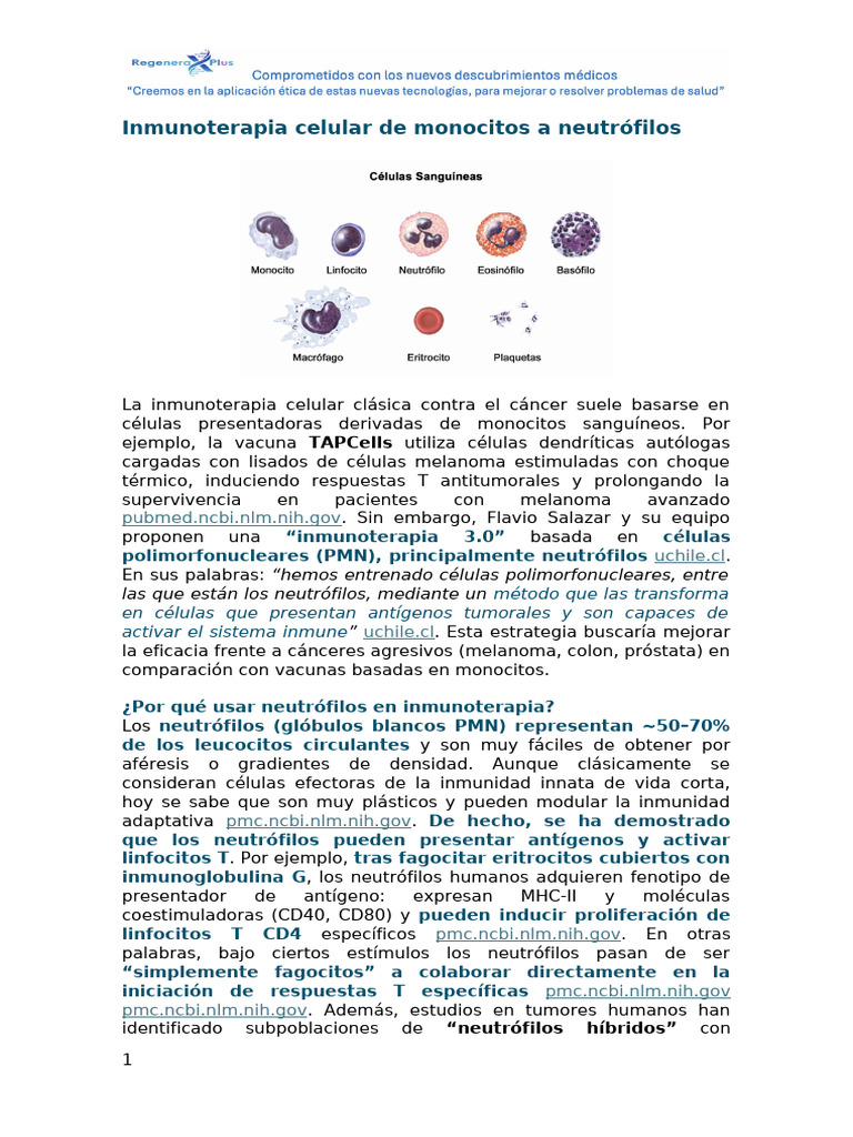 Inmunoterapia Celular de Monocitos A Neutrófilos | PDF | Inmunoterapia ...