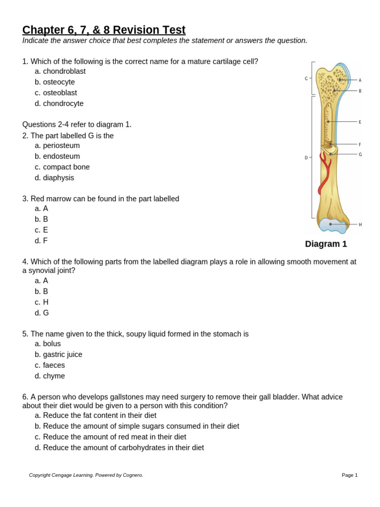Biology Revision Test: Chapters 6-8 | PDF | Digestion | Kidney