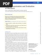 Small Animal Cardiology Auscultation - Vet Visions | PDF | Heart ...