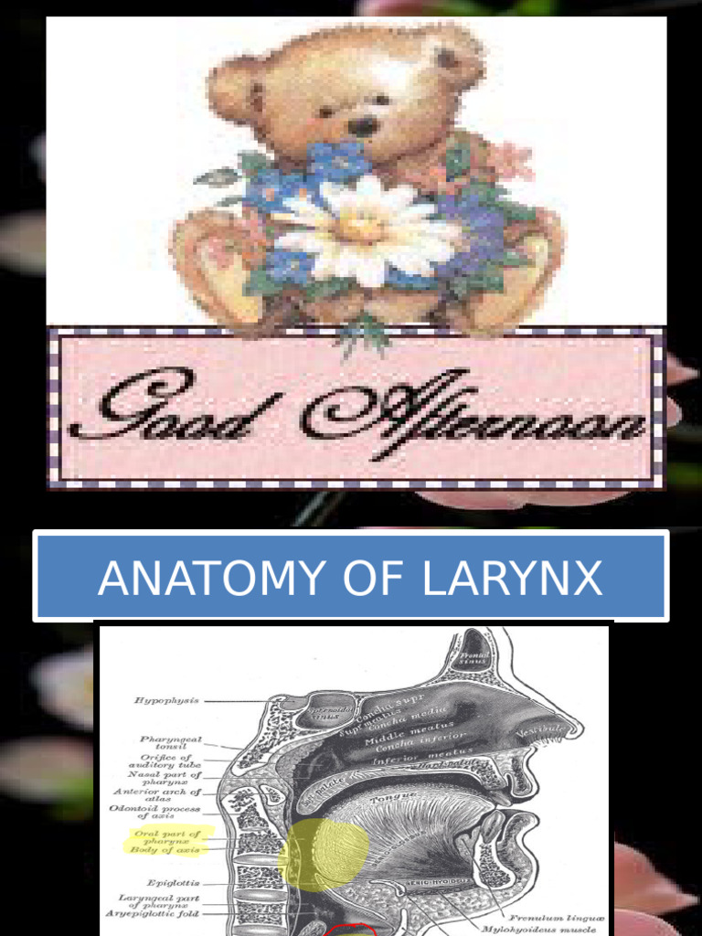 Ca LARYNX | PDF