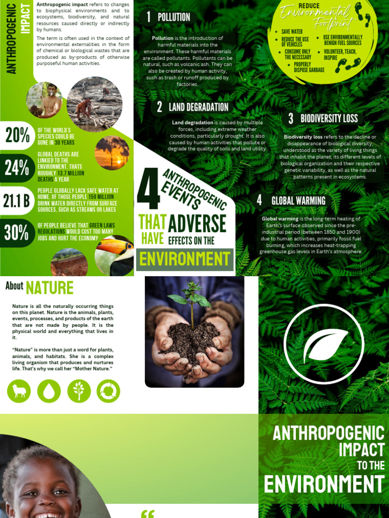 Human Impact on the Environment | PDF | Natural Environment | Human ...