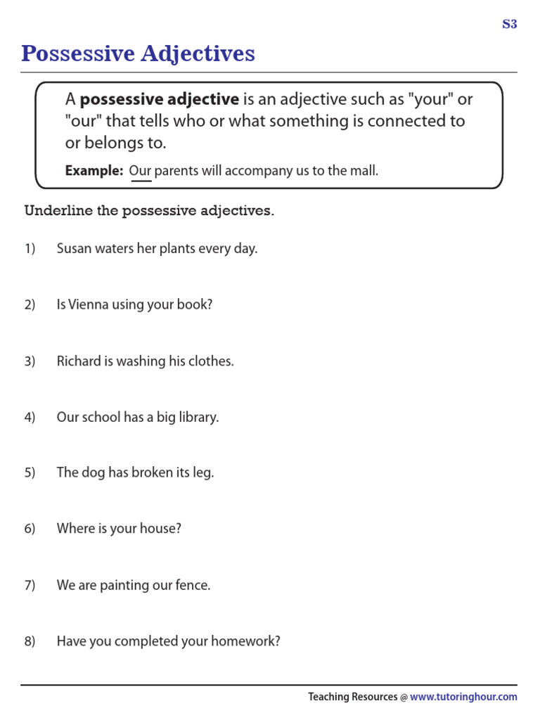 Identify Possessive 3 | PDF