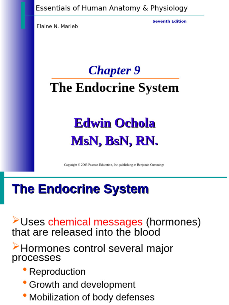 Overview of the Endocrine System | PDF | Adrenal Gland | Endocrine System