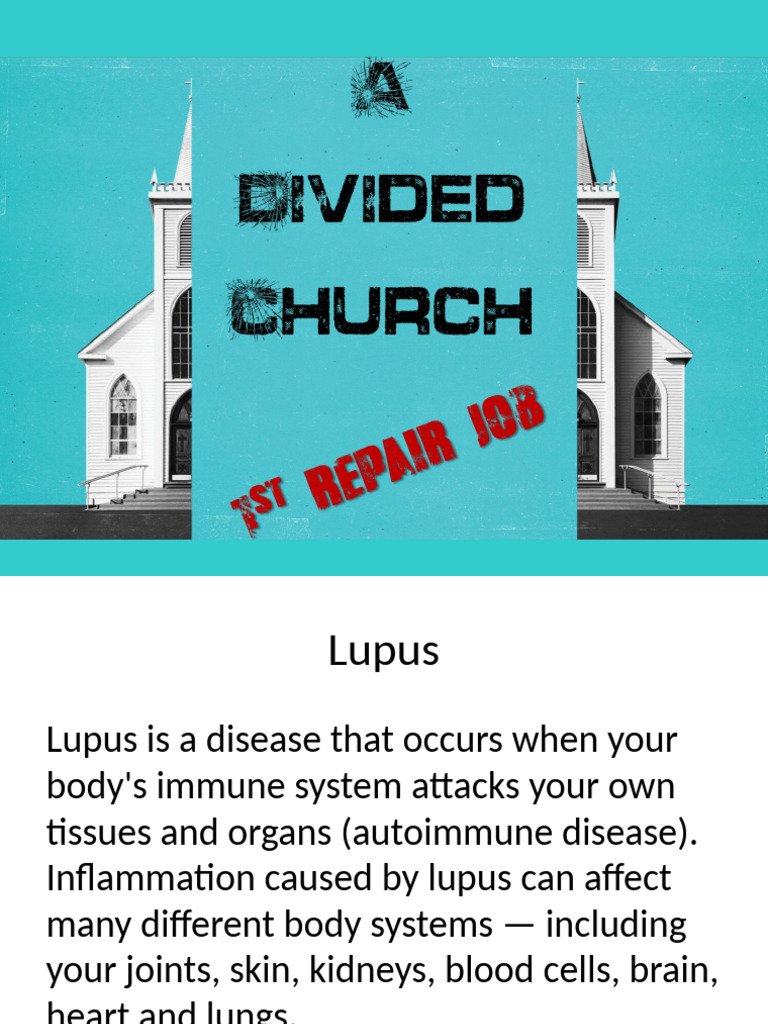 A Divided Church | PDF