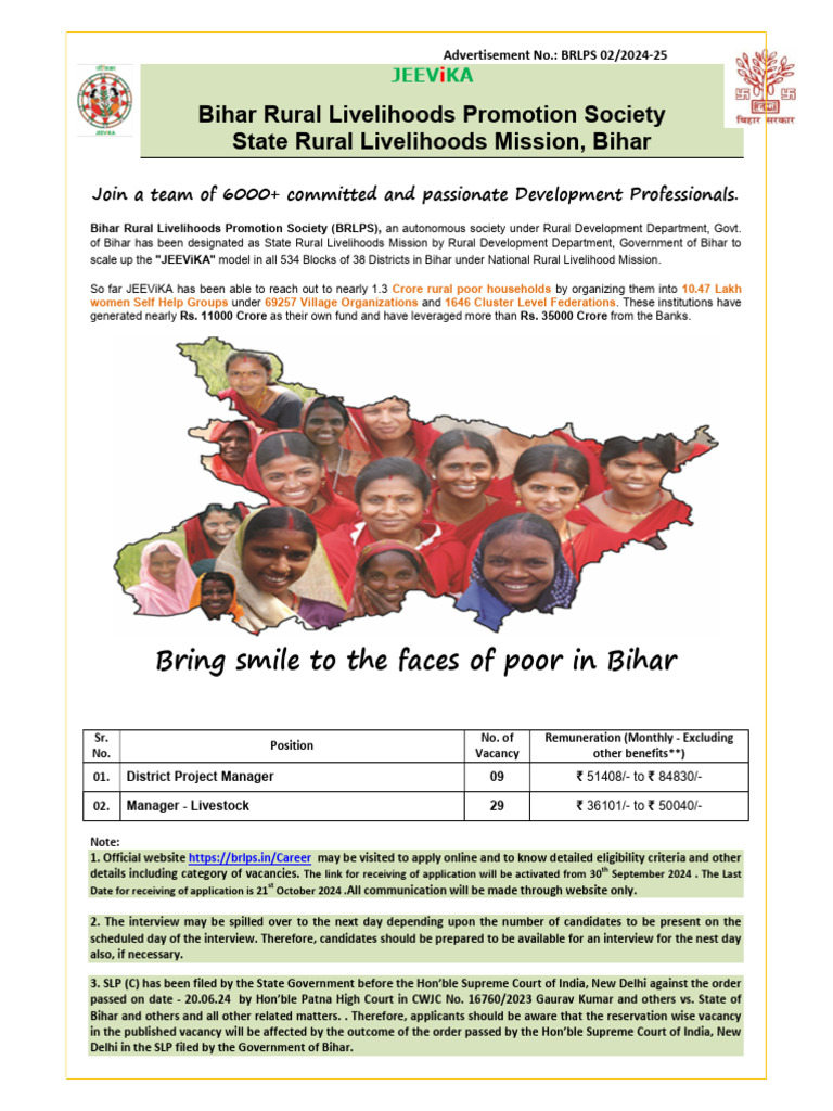 BRLPS | PDF | Employment | Disability