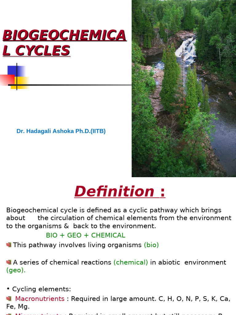 Biogeo Chemical Cycle | PDF | Physical Geography | Earth Sciences