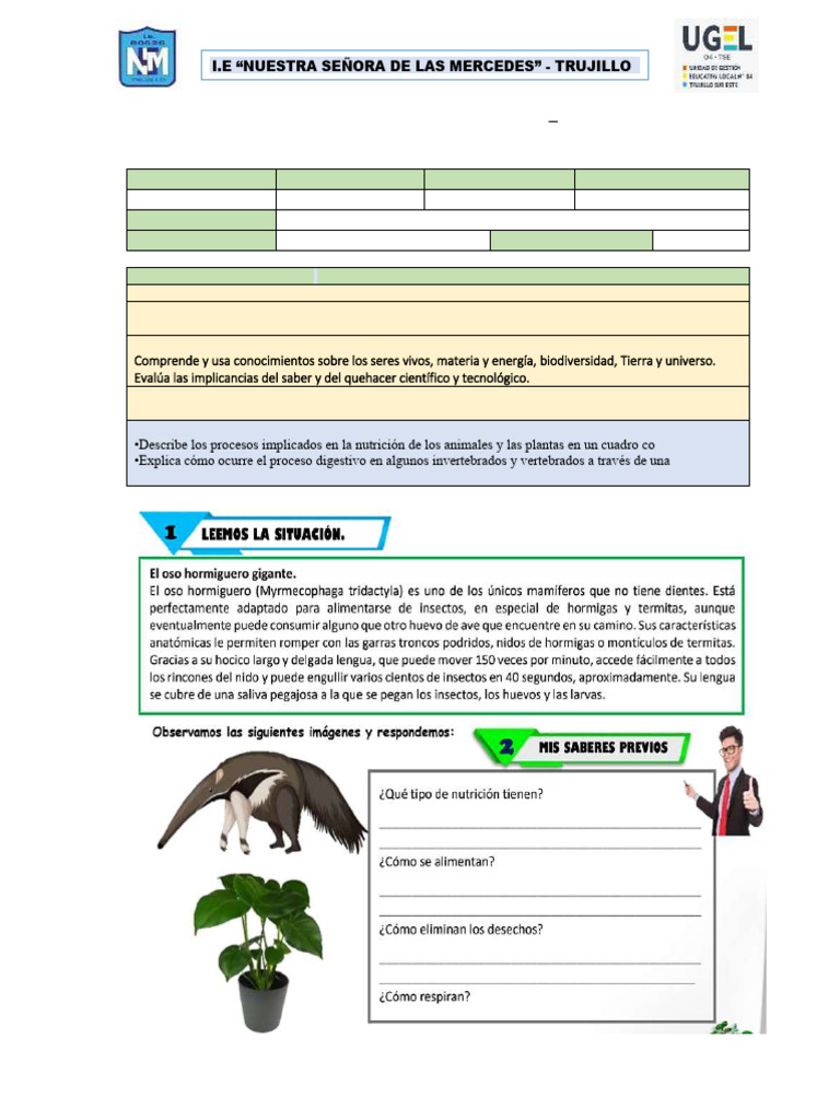 Ficha O4 Función de Nutrición en Plantas y Animales | PDF | Invertebrado | Biología