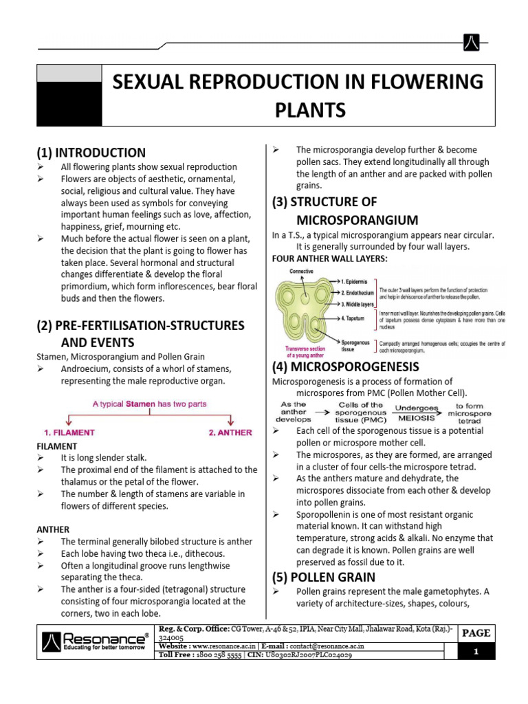 Rts-5 Sexual Reproduction | PDF | Flowers | Pollination