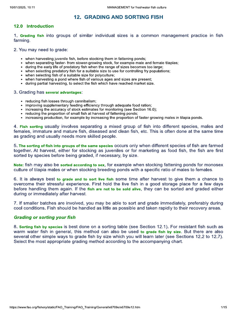 Fish Sorting | PDF