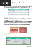 Cinética e Indicadores do Ferro Corporal | PDF | Ferro | Medicina Clínica