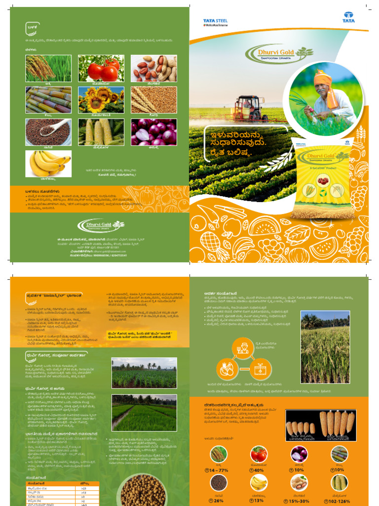Dhurvi Gold Kannada | PDF