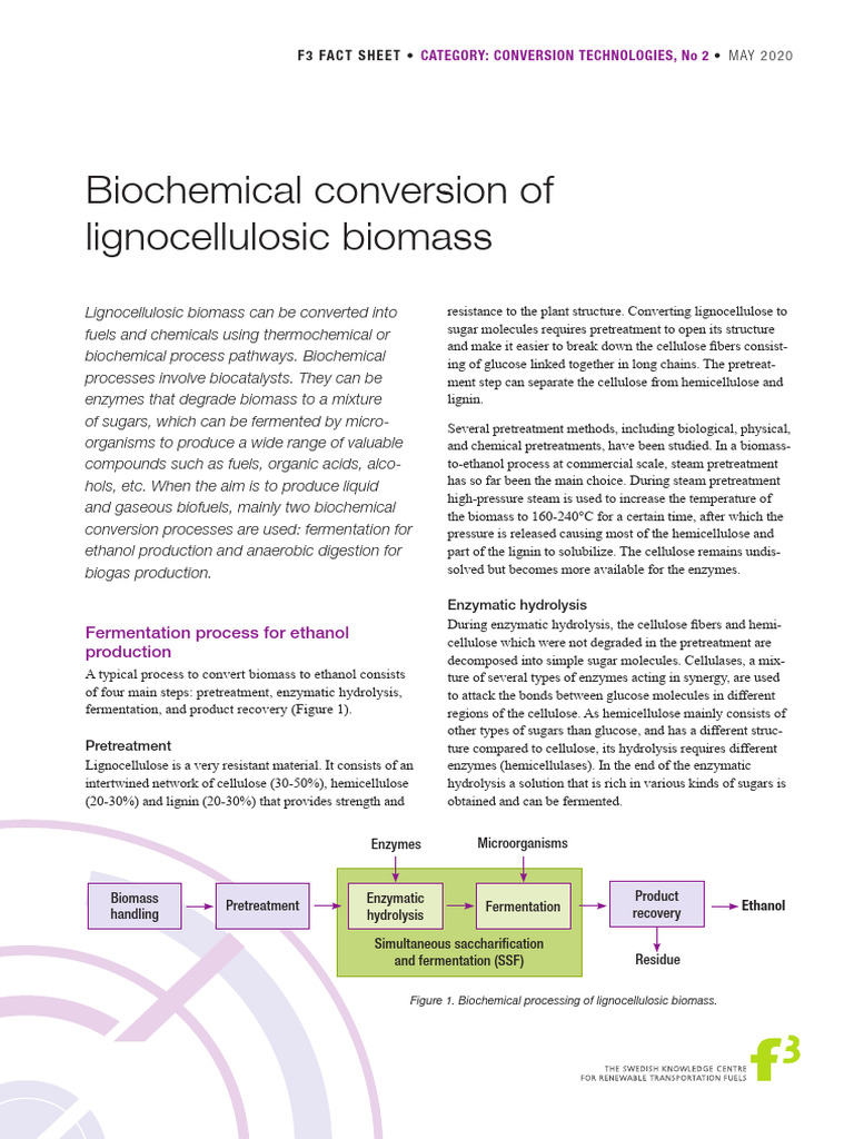 Biochemical Conversion Fact Sheet 2 200511 | PDF | Biofuel | Anaerobic ...