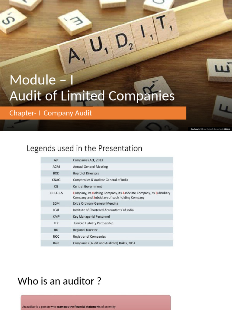 Company Audit Overview and Practices | PDF | Audit | Auditor's Report