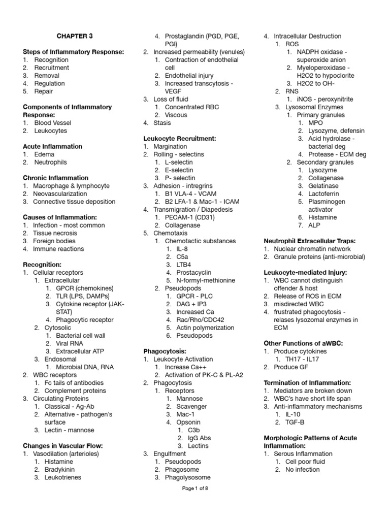 Inflammatory Response Mechanisms Explained | PDF | Coagulation ...