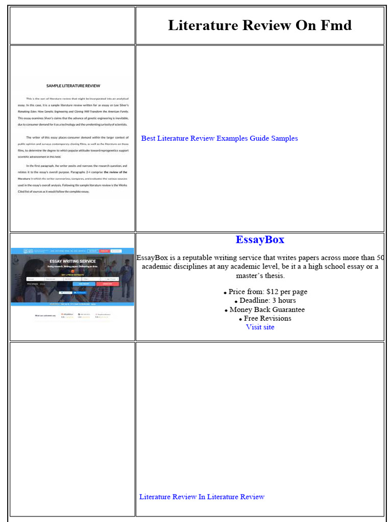 Literature Review On FMD | PDF | Essays | Methodology